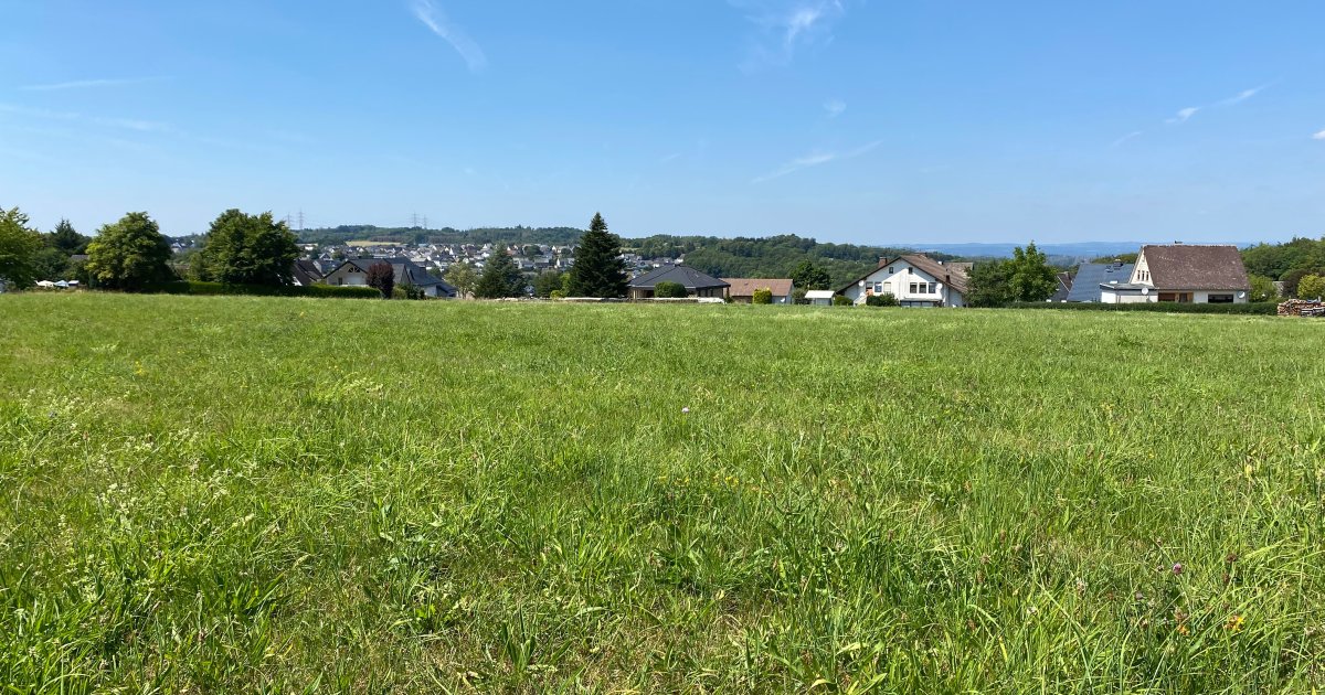 Aus der Sitzung des Ortsgemeinderates Weitefeld am 11.02.2025 | VG ...